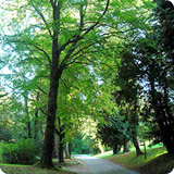 Swimming pool,gym,adult and baby swimming lessons,training,parent,child ...